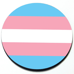 Trans Pride Flag - Magnetic Grill Badge for MINI Cooper